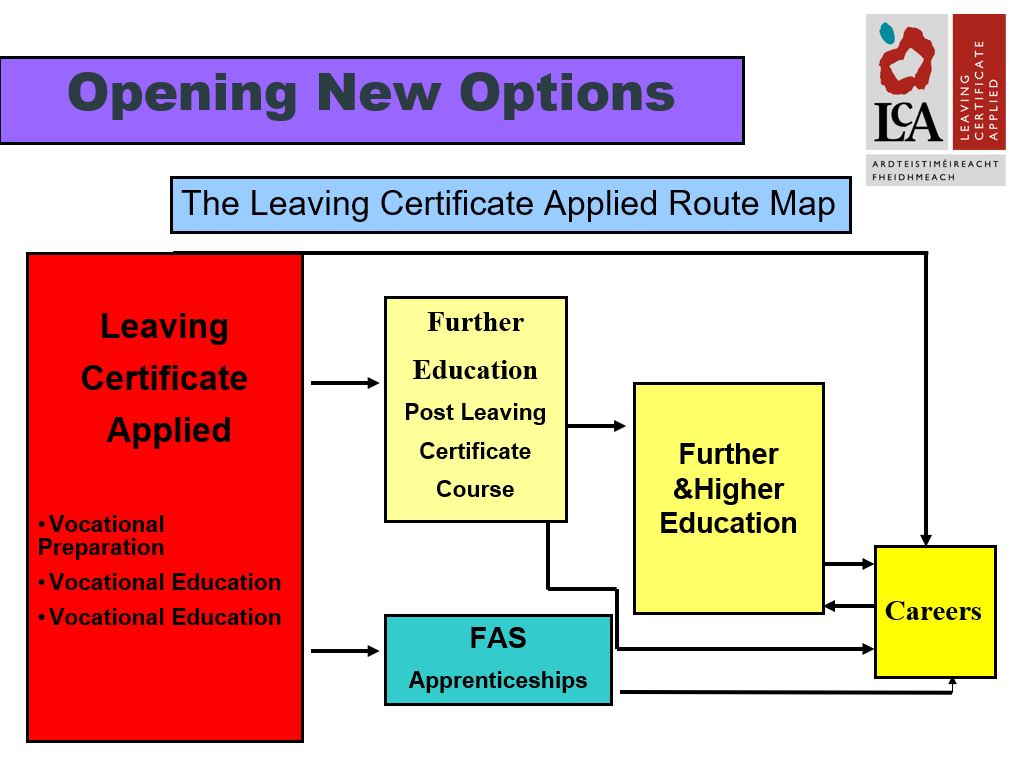 Options after LCA - Bush Post Primary School